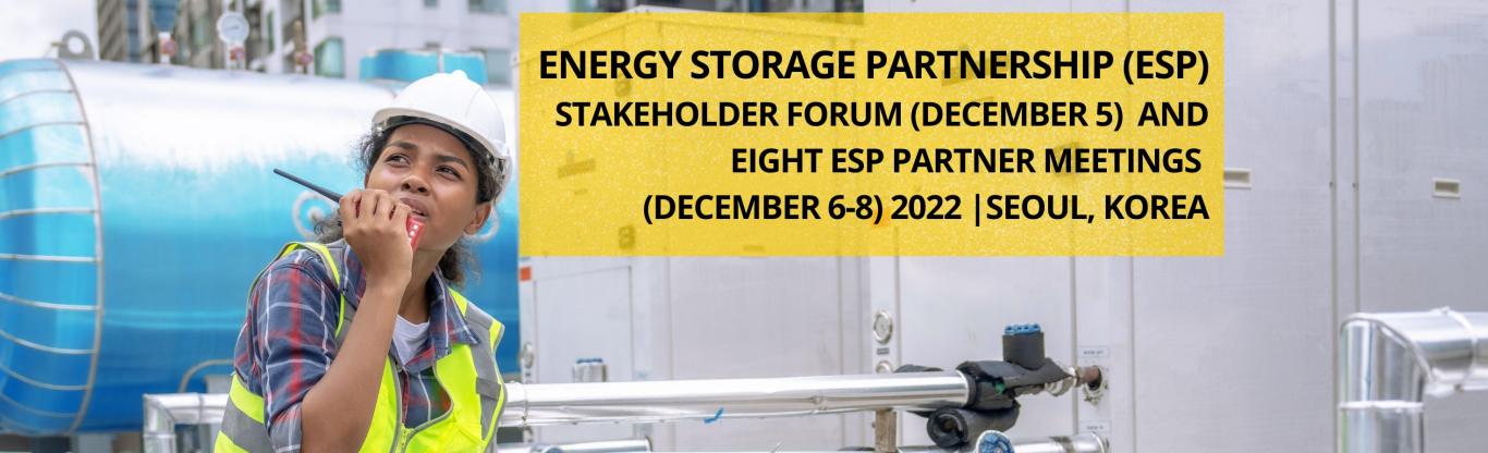 Energy Storage Program | ESMAP